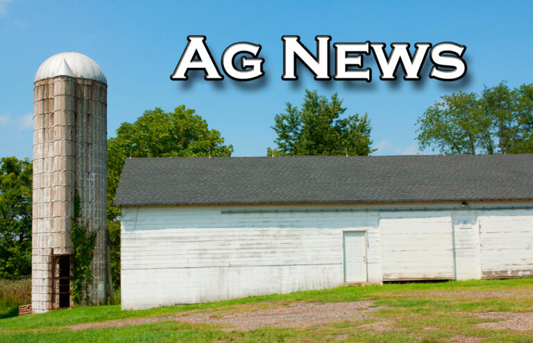 BIg Country 107.7 | KICD-FM | Spencer, IA