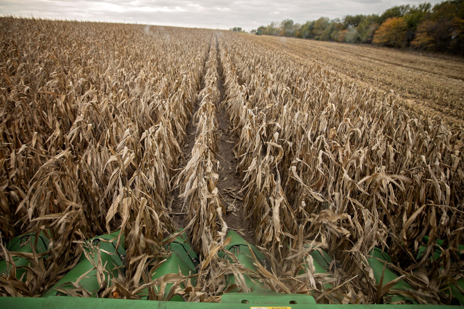 BIg Country 107.7 | KICD-FM | Spencer, IA